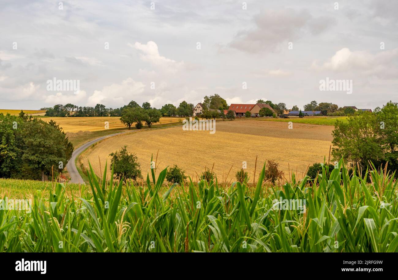 Idyllic farmland scenery around a small village in Hohenlohe, an area ...