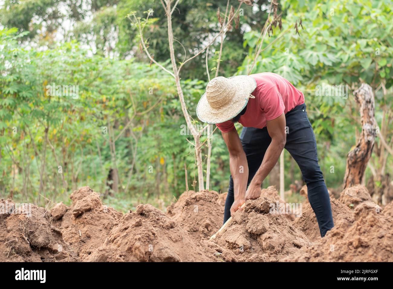african farmer working in a farm Stock Photo - Alamy