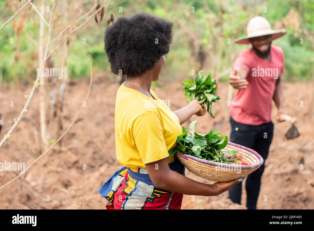 african farmers in a farm working Stock Photo - Alamy