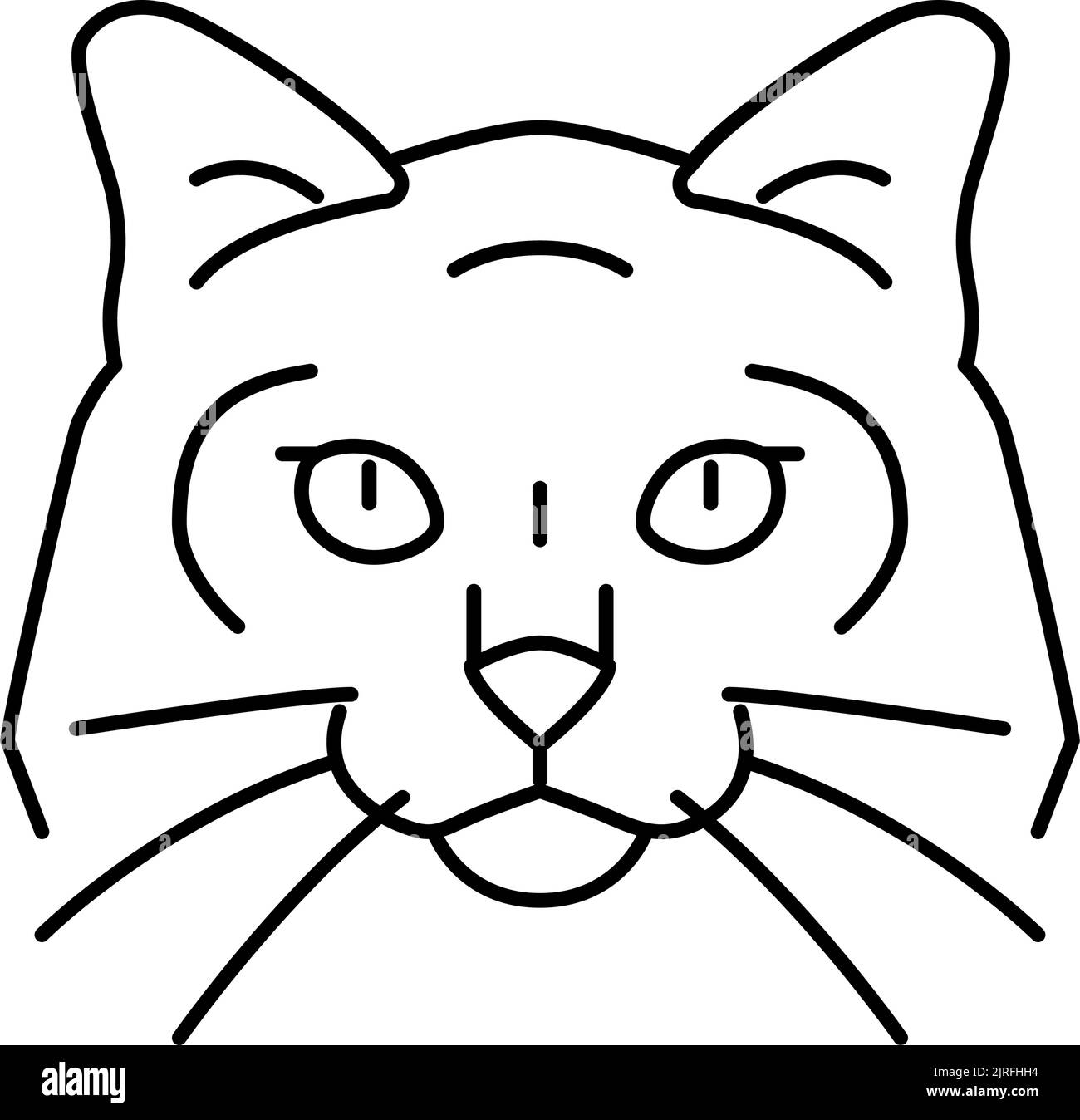 Birman cat Black and White Stock Photos & Images - Alamy