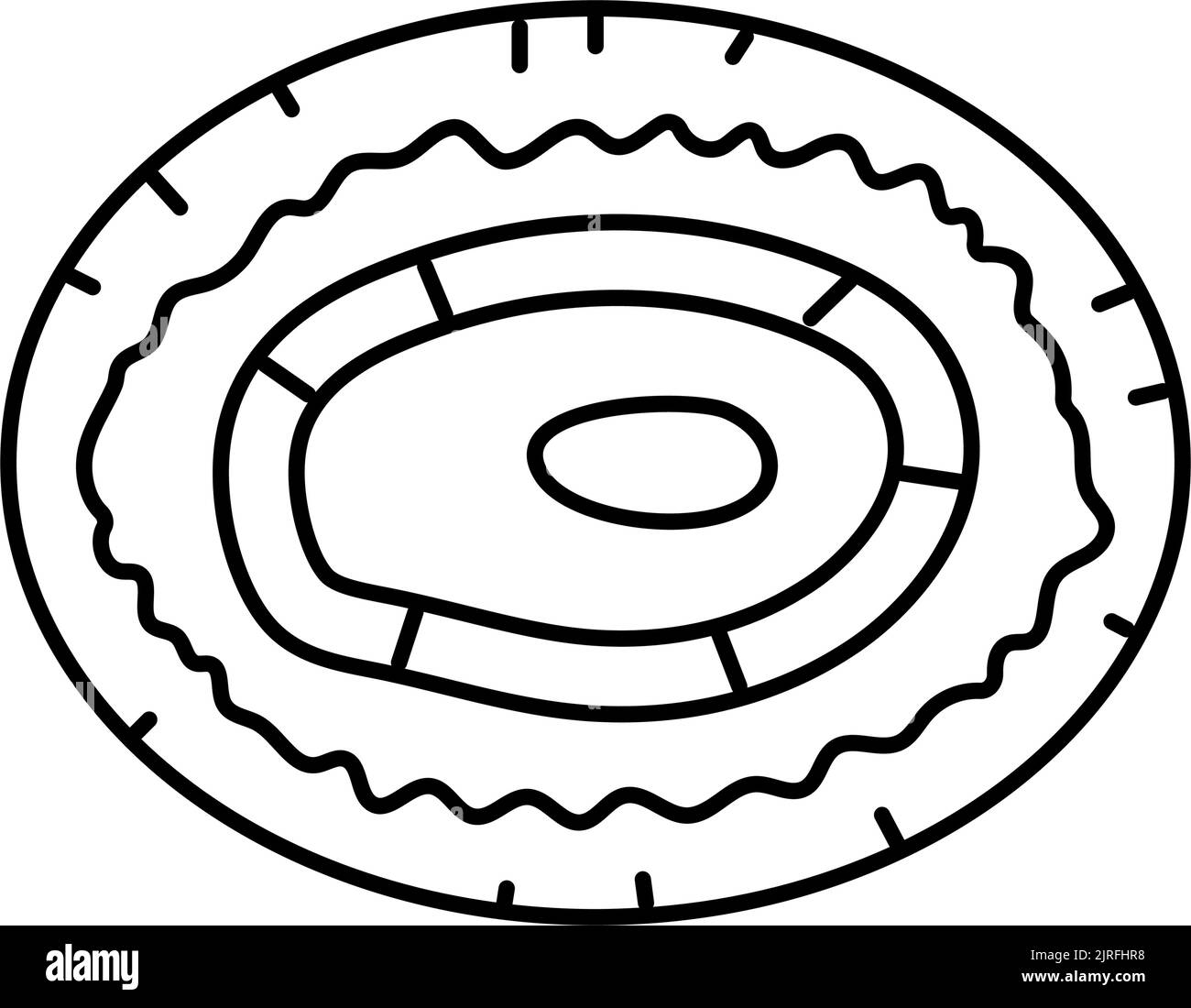 Shell of limpet Cut Out Stock Images & Pictures - Alamy