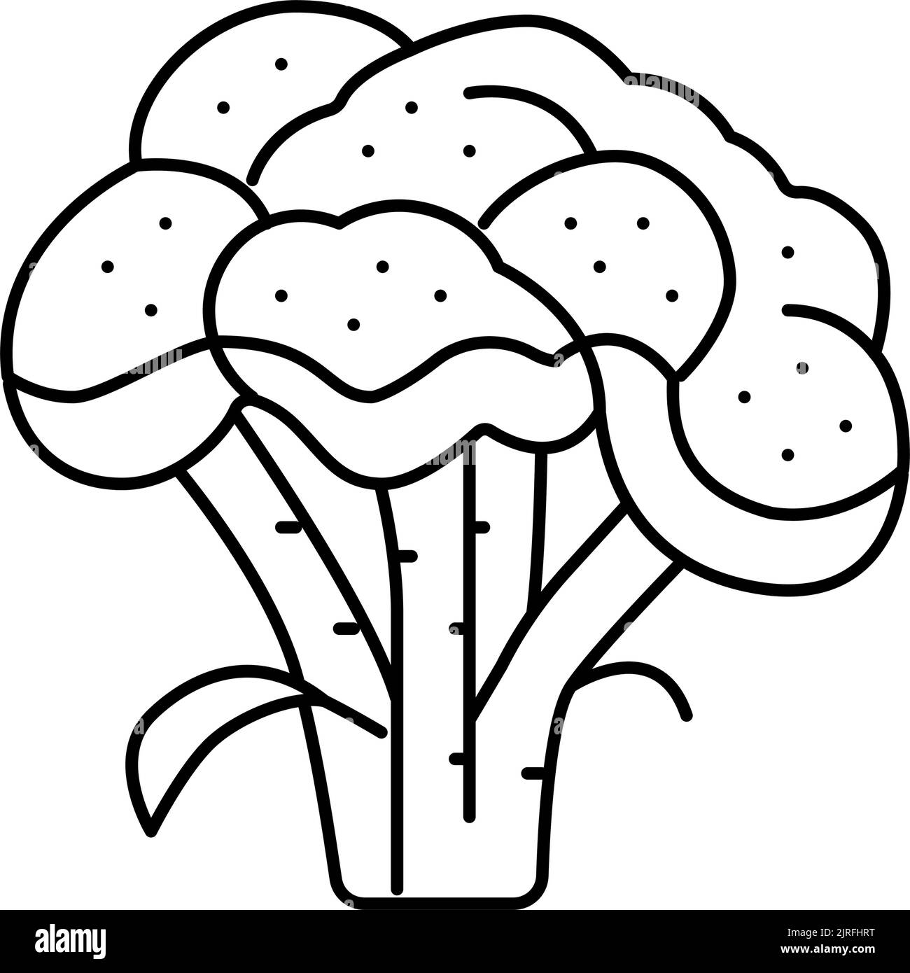 broccoli vitamin plant line icon vector illustration Stock Vector Image ... broccoli vitamin plant line icon vector illustration Stock Vector Image ...