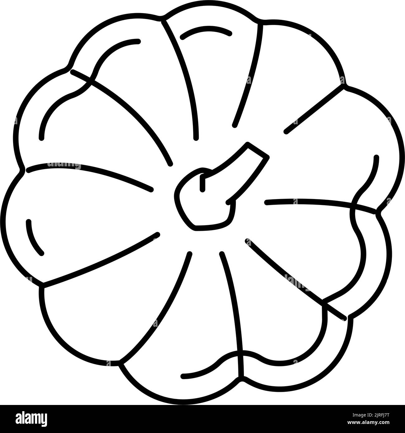 pumpkin top view line icon vector illustration Stock Vector Image & Art ...