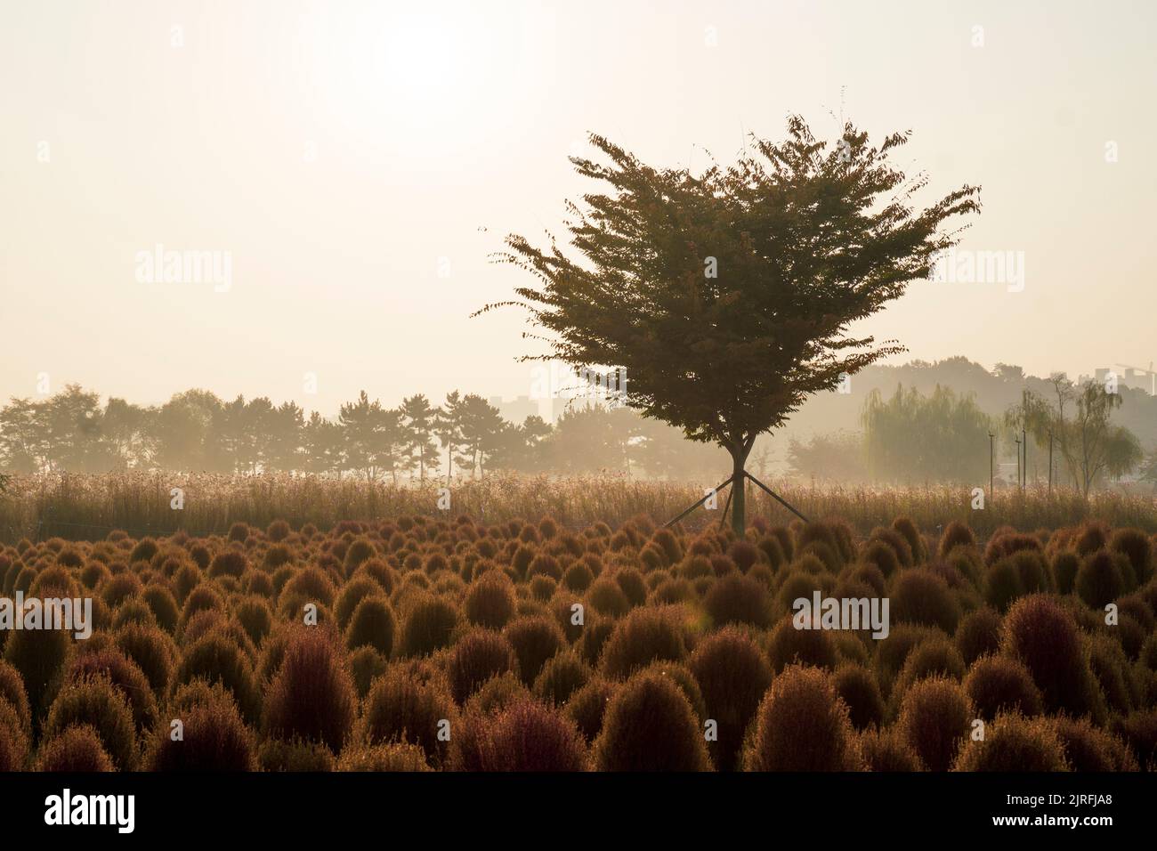 October Autumn Scenery Photos and Trees Stock Photo - Alamy