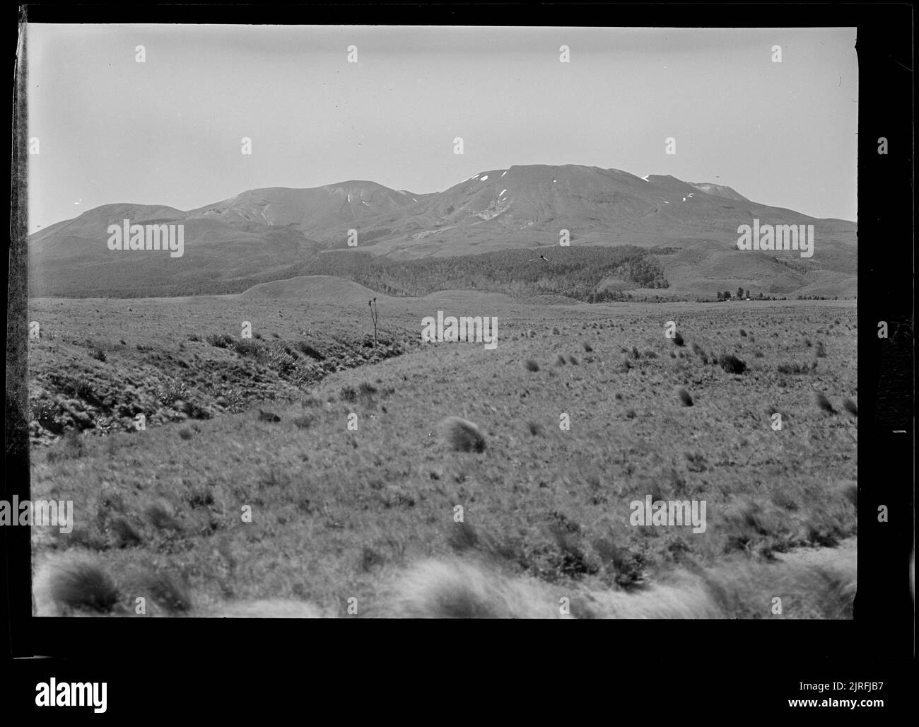 New Zealand landscape, by J.W. Chapman-Taylor Stock Photo - Alamy