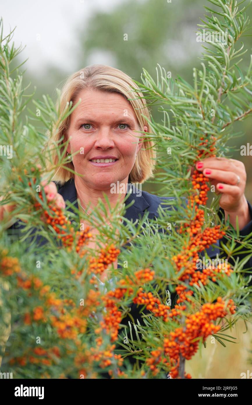 24 August 2022, Brandenburg, Werder An Der Havel: Dorothee Berger ...