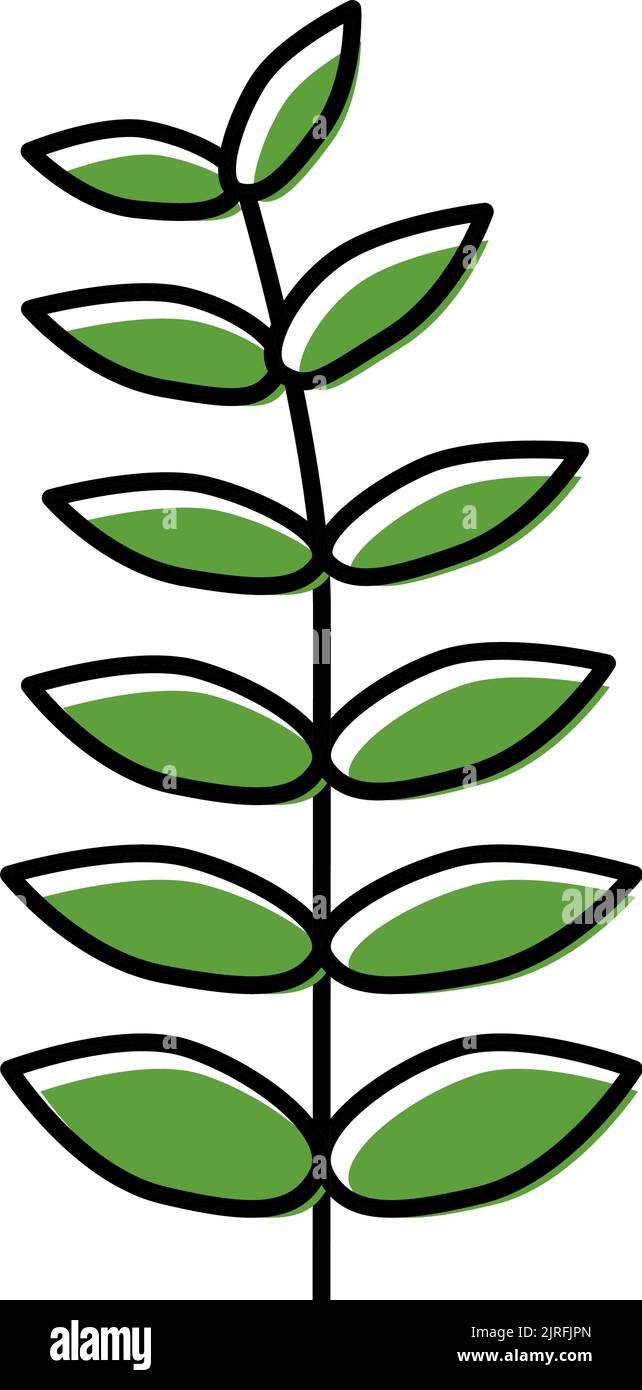 walnut leaf color icon vector illustration Stock Vector Image & Art - Alamy