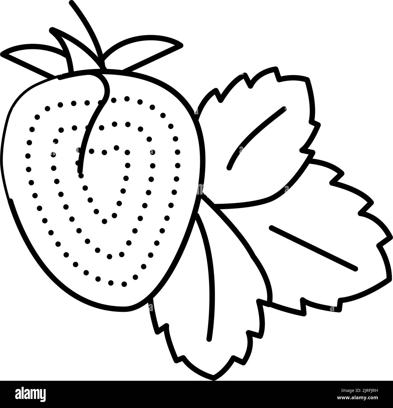 strawberry with leaf line icon vector illustration Stock Vector Image ...