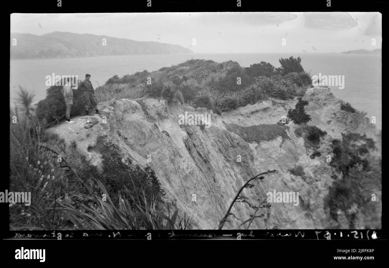 Visit to Ward Island : Ward Island - summit from North end southward ...