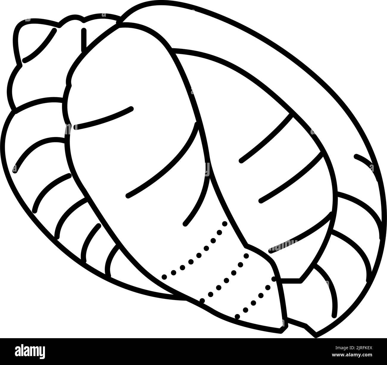 Clam shell design bonnet Stock Vector Images - Alamy