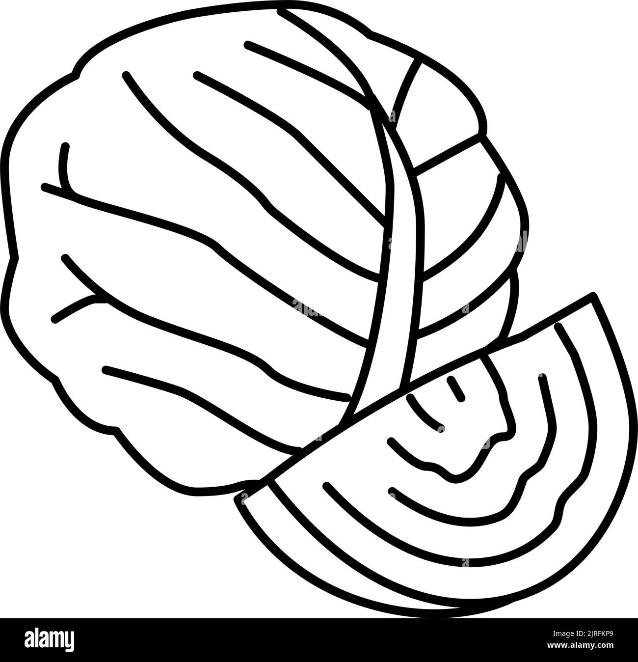 cabbage healthy vegetable line icon vector illustration Stock Vector ...