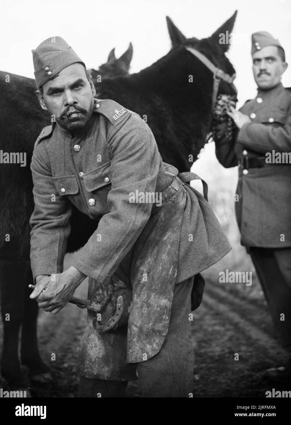 A mule handler of the Royal Indian Army Service Corps shoeing one of ...