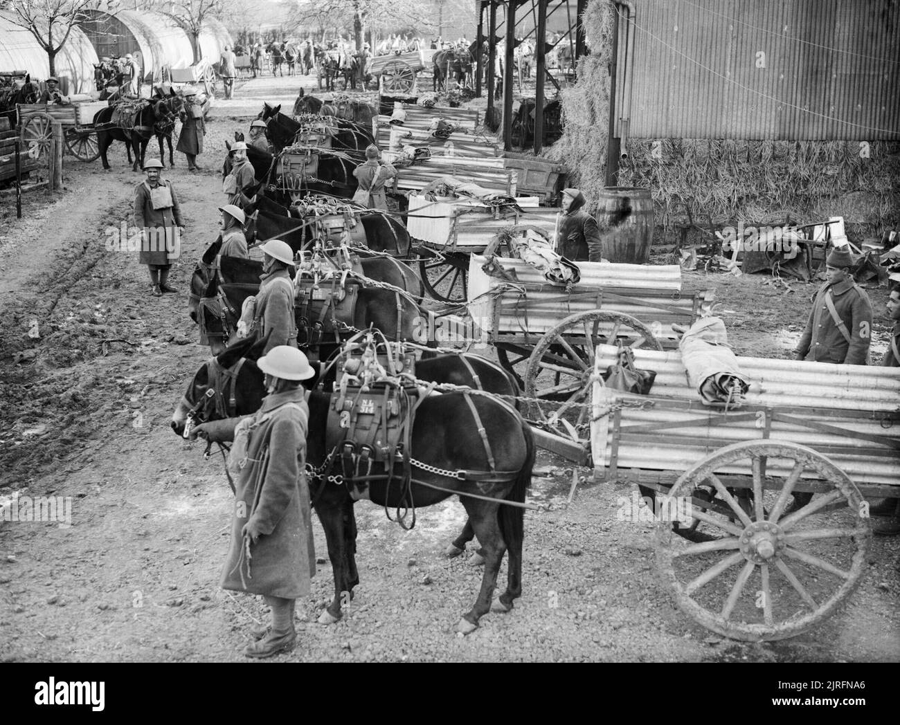 Members of a mule transport company of the Royal Indian Army Service ...