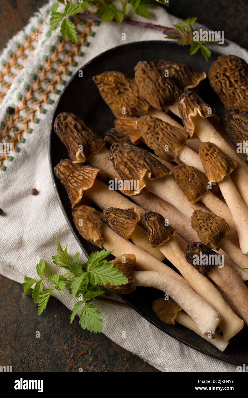 Morel forest mushrooms with spicy spices and aromatic vegetables Stock ...