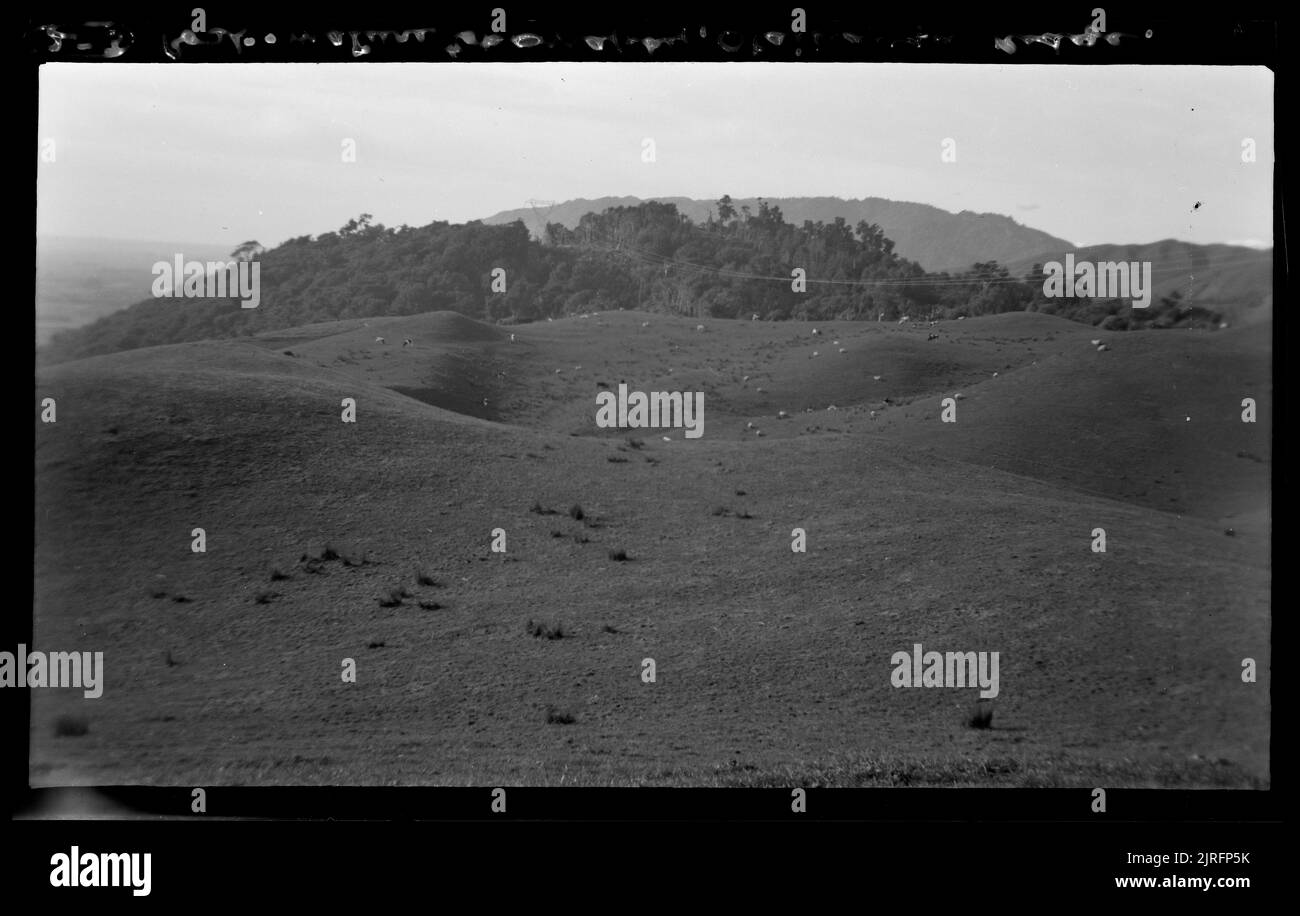 Visit to otaihanga hi-res stock photography and images - Alamy