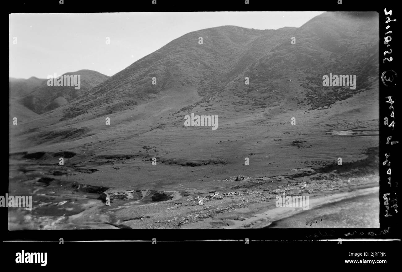 Visit to Telka-a Maru and Ohau Bays, Western Wellington, 29 October ...