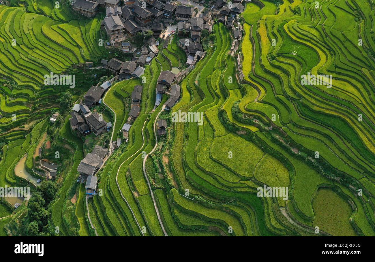 CONGJIANG, CHINA - AUGUST 24, 2022 - Aerial photo shows the Jiabang ...
