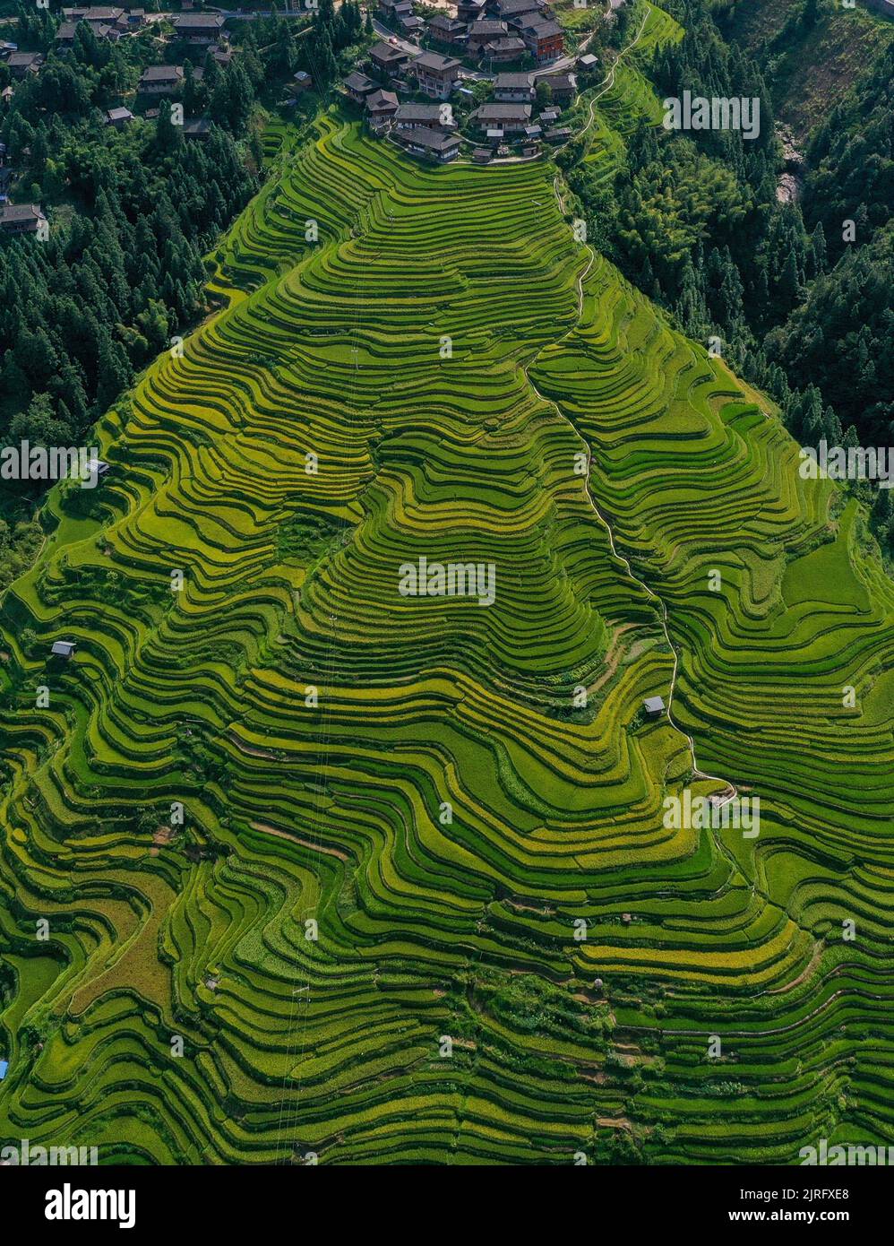 CONGJIANG, CHINA - AUGUST 24, 2022 - Aerial photo shows the Jiabang ...
