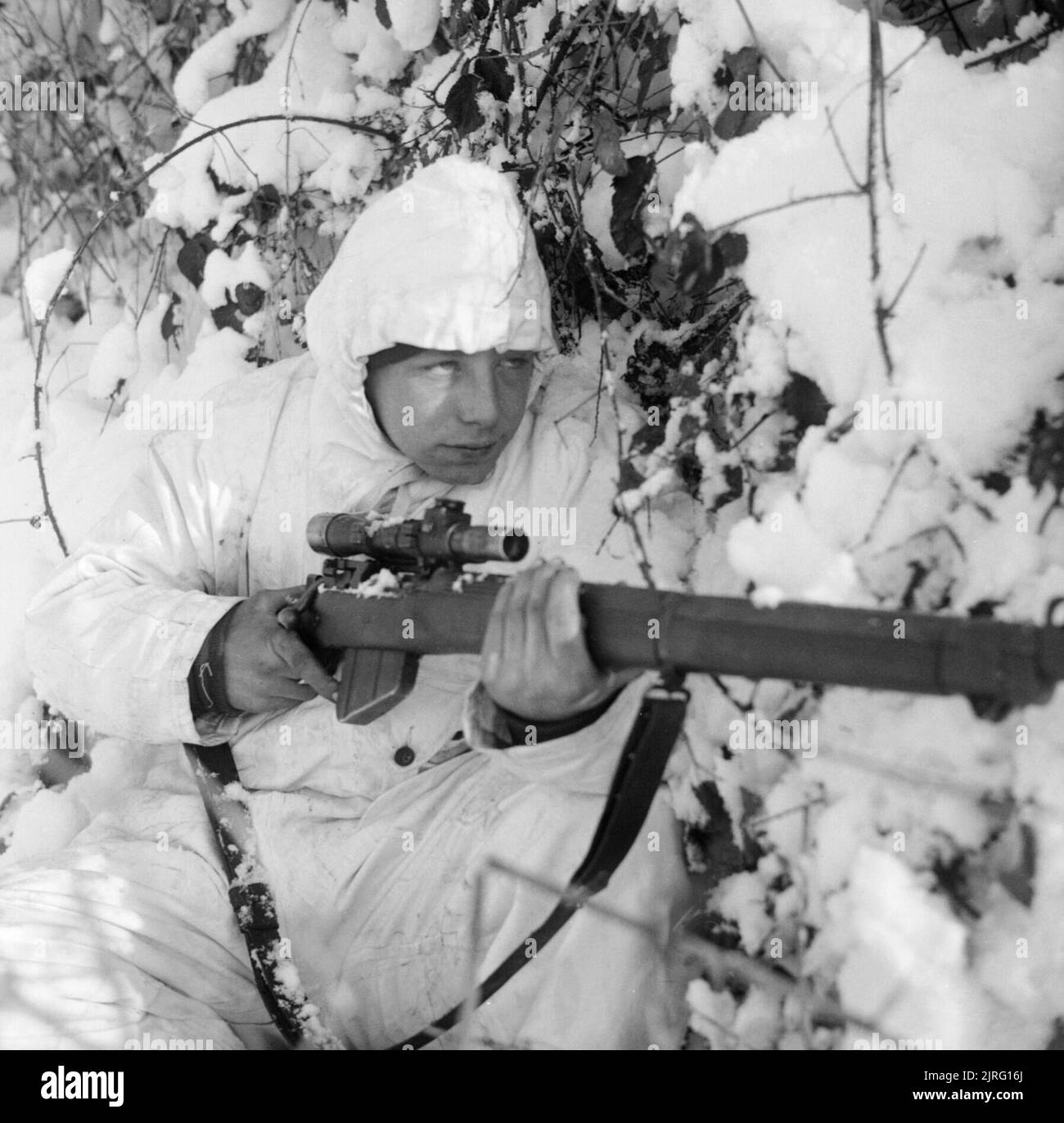 Hidden Sniper In Snow