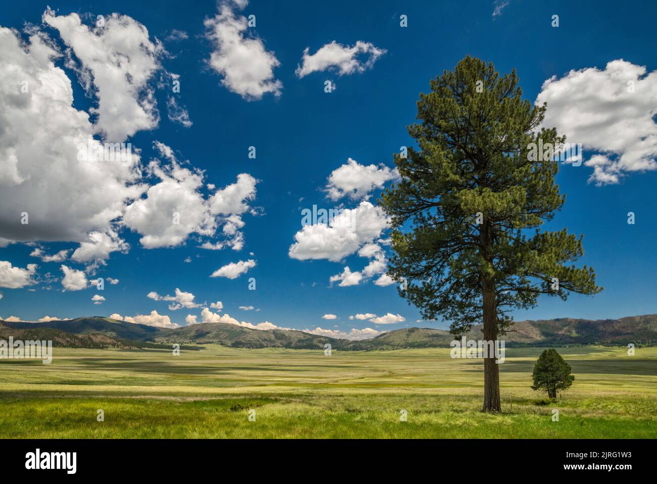 Valles caldera national preserve hi-res stock photography and images ...