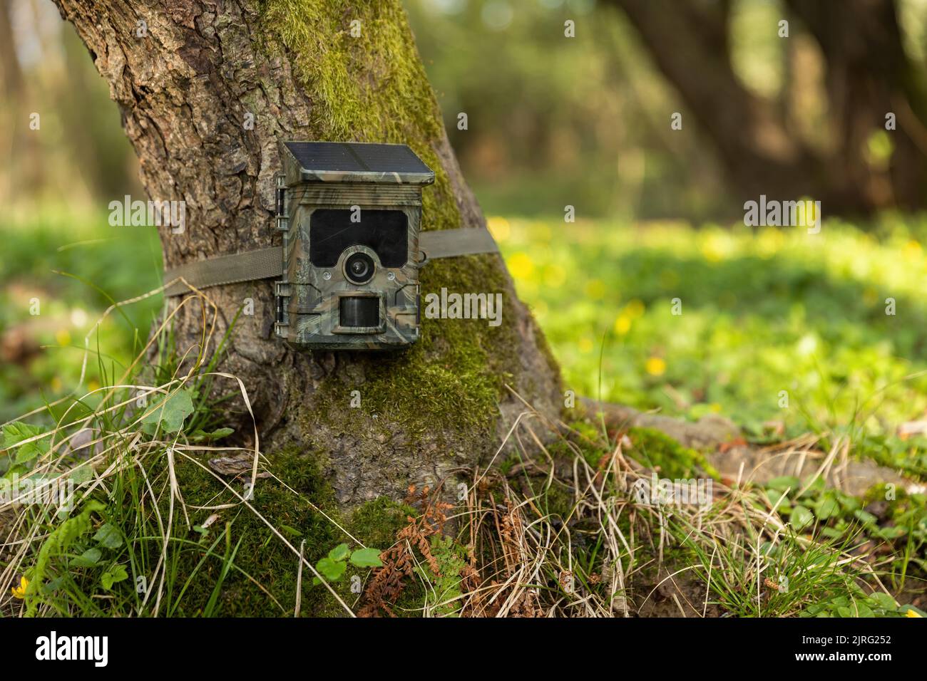 Camera trap with integrated solar panel charging internal battery while ...