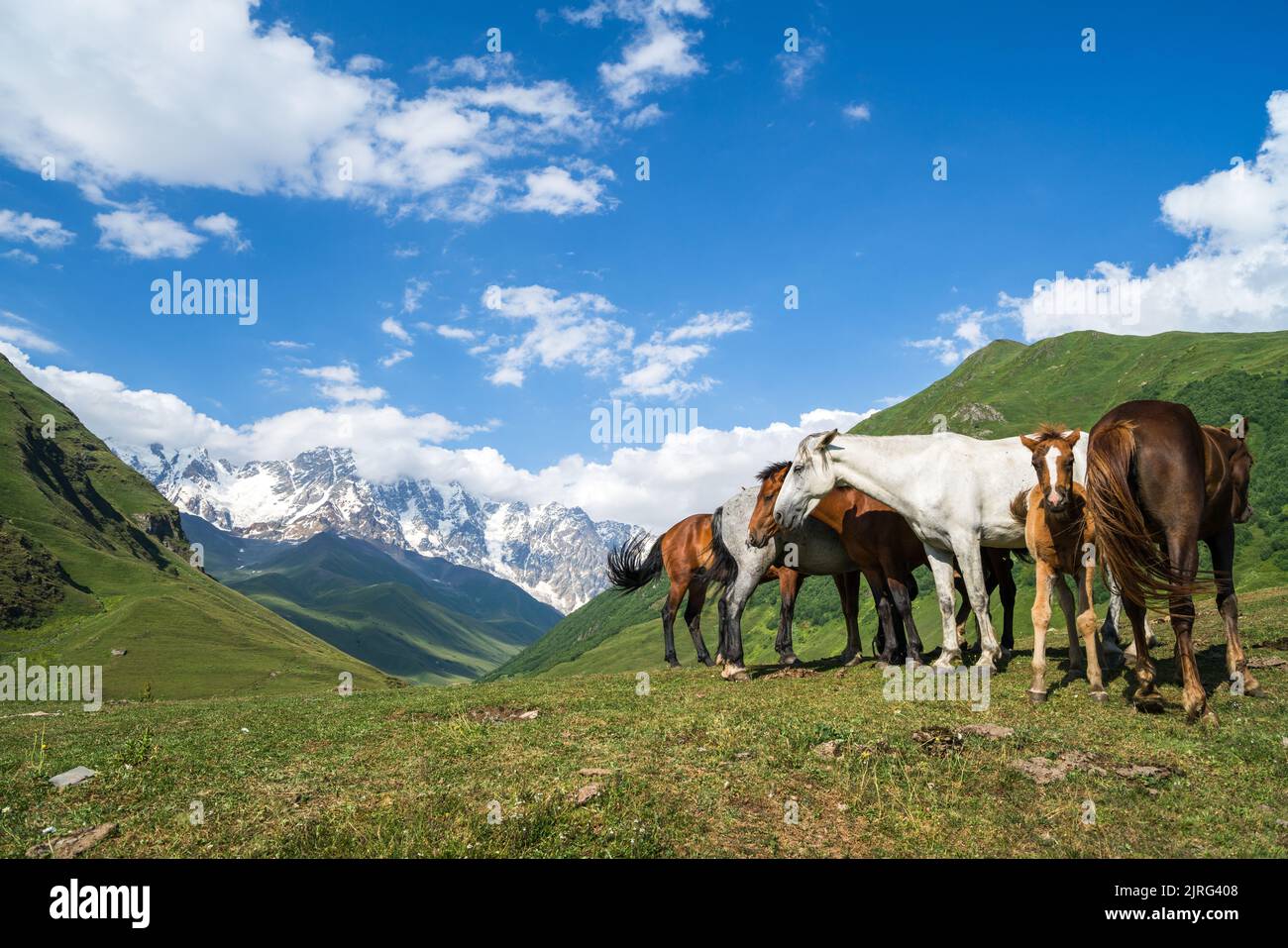 5201 meters high hi-res stock photography and images - Alamy