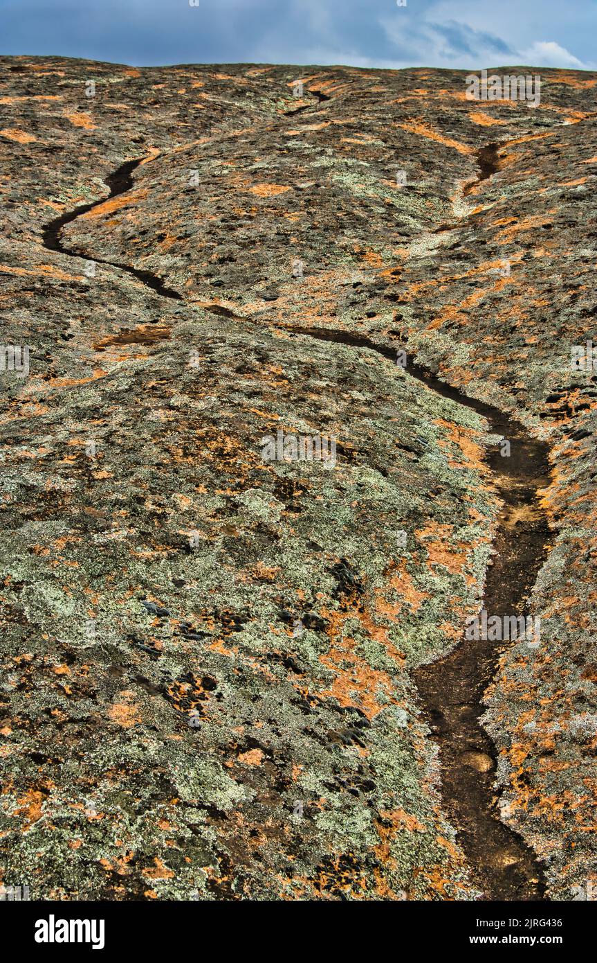 The vast, lichen covered, granite landscape of Polda Rock Reserve near ...