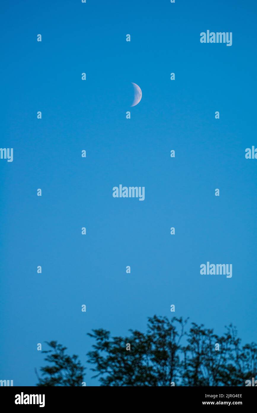 Crescent moon setting in the afternoon behind trees Stock Photo - Alamy