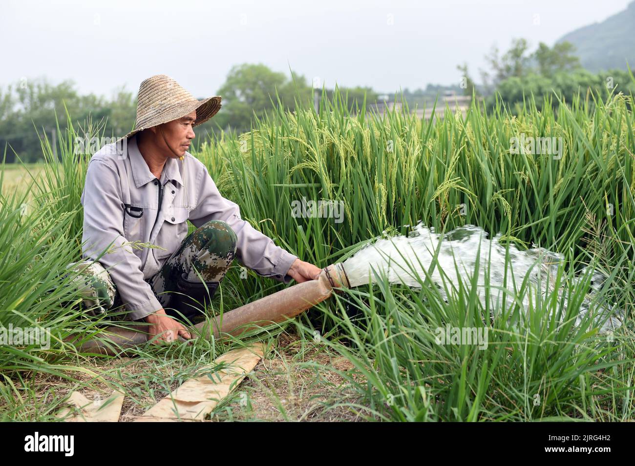 Farmer pumps water hi-res stock photography and images - Alamy