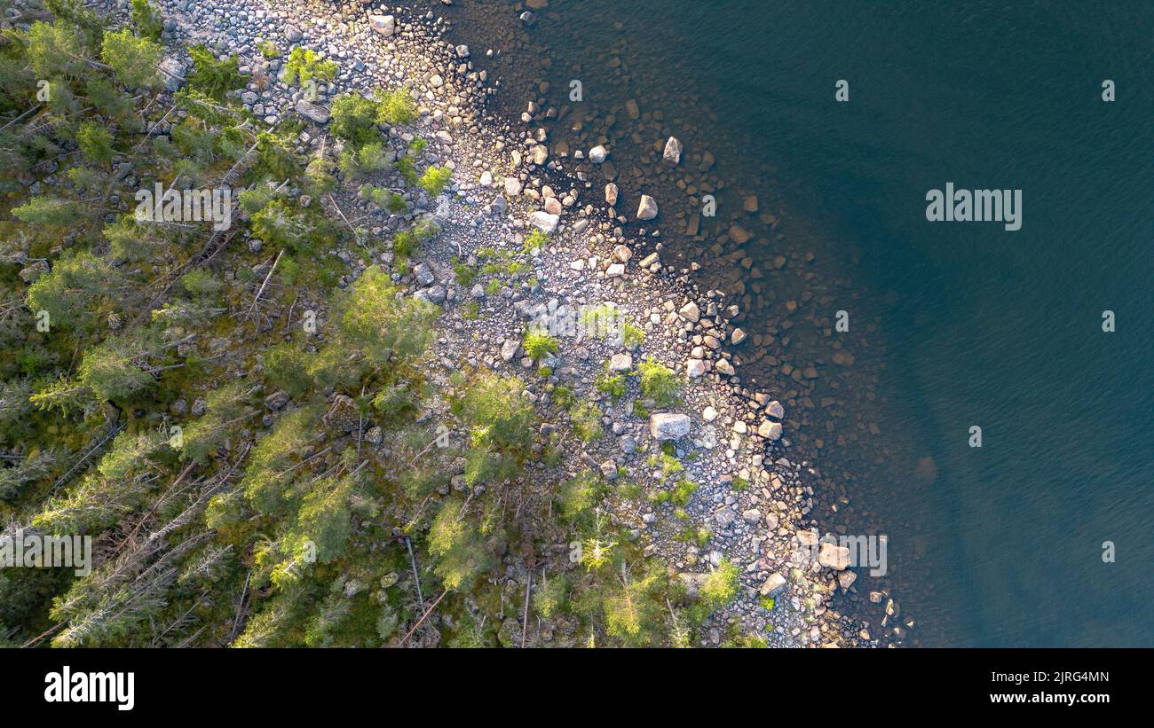 An aerial view of trees near the shore of the Finnish Archipelago Stock ...