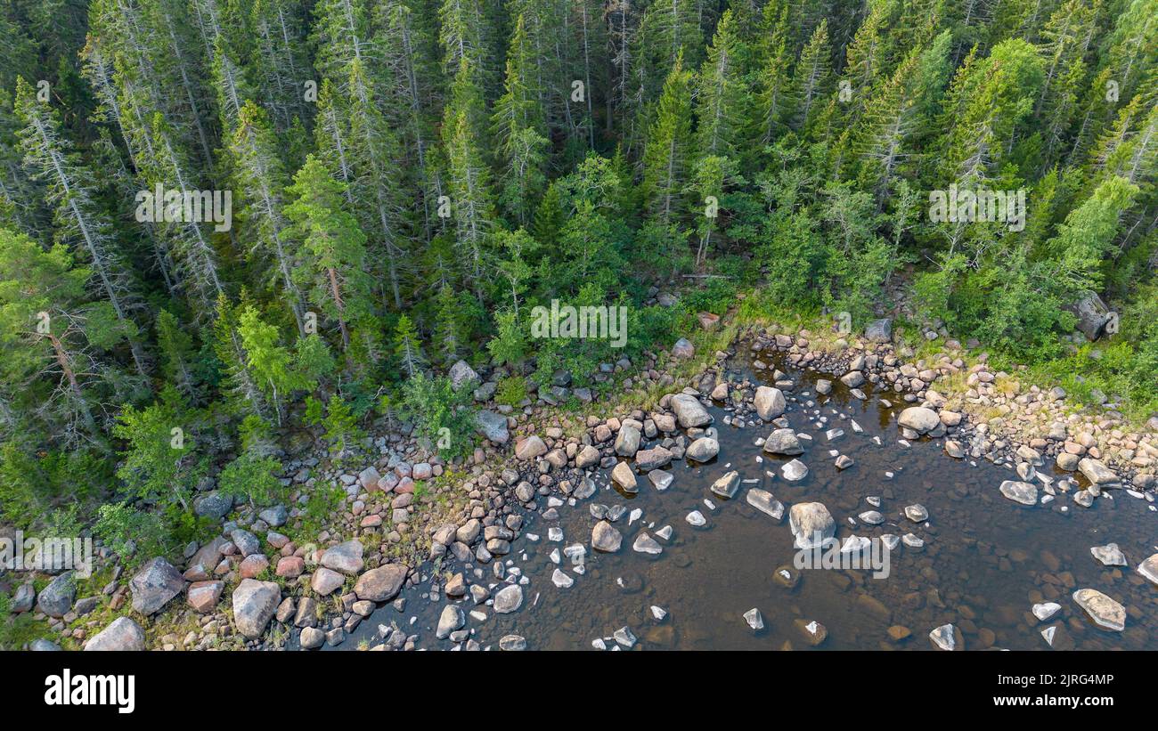 An aerial view of trees near the shore of the Finnish Archipelago Stock ...