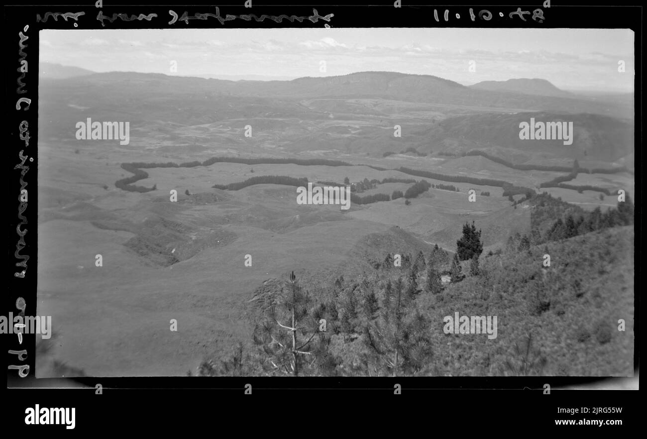 Moerangi hi-res stock photography and images - Alamy