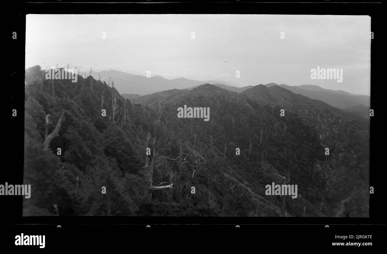 Rimutaka Range, 12 March 1948, by Leslie Adkin Stock Photo - Alamy