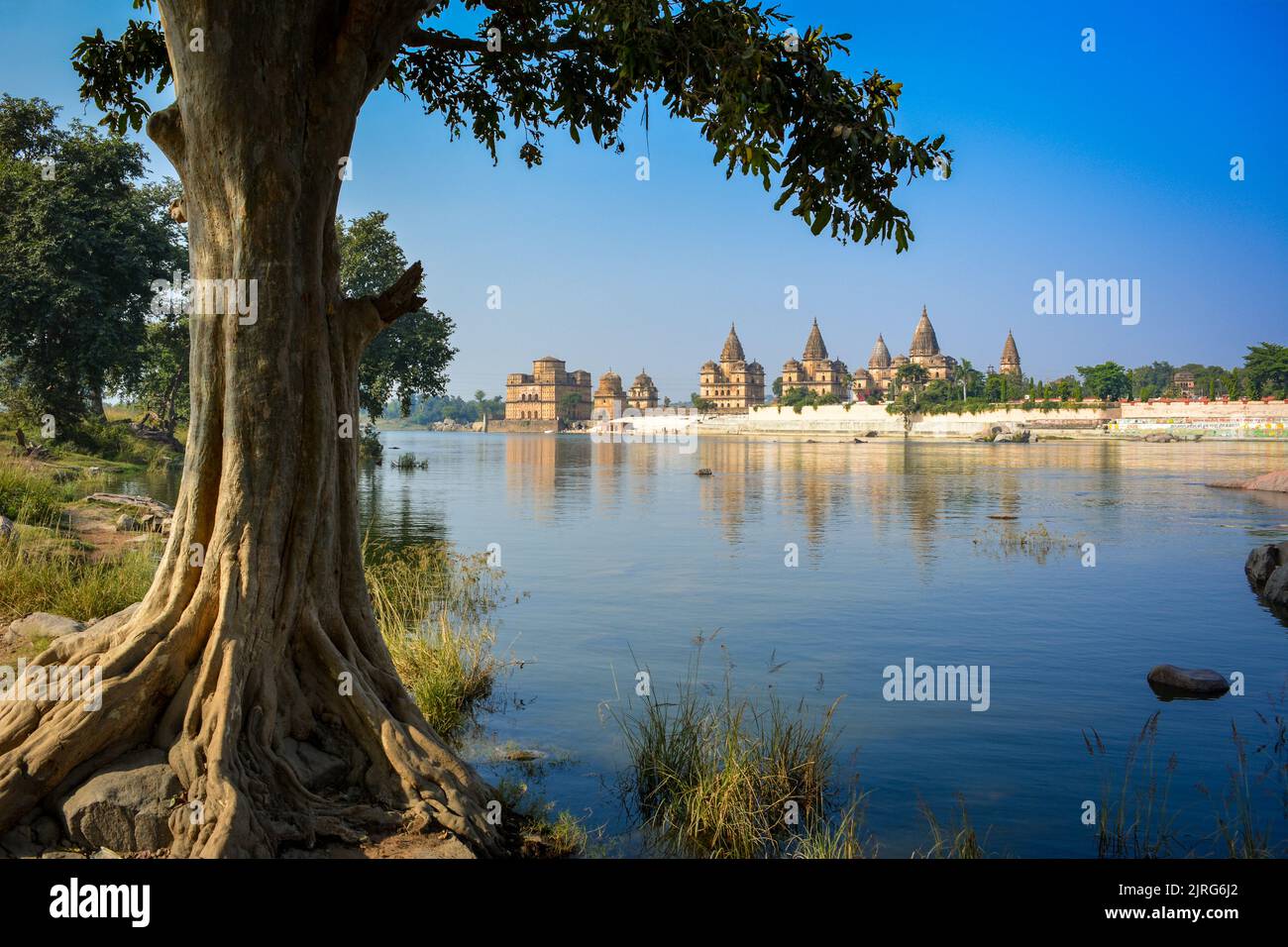 View of Royal cenotaphs of Orchha over Betwa river Stock Photo - Alamy