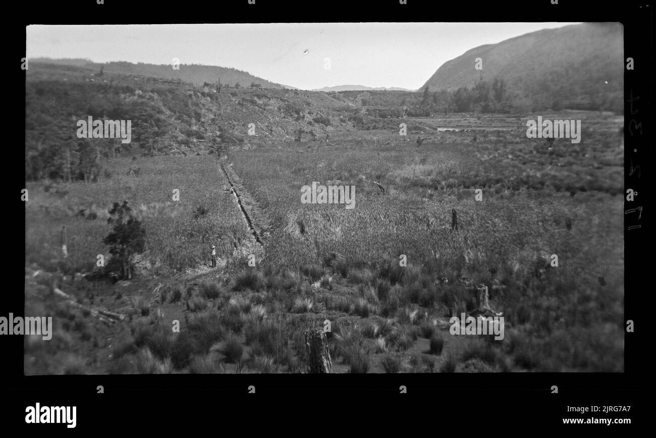 Mill swamp Black and White Stock Photos & Images - Alamy