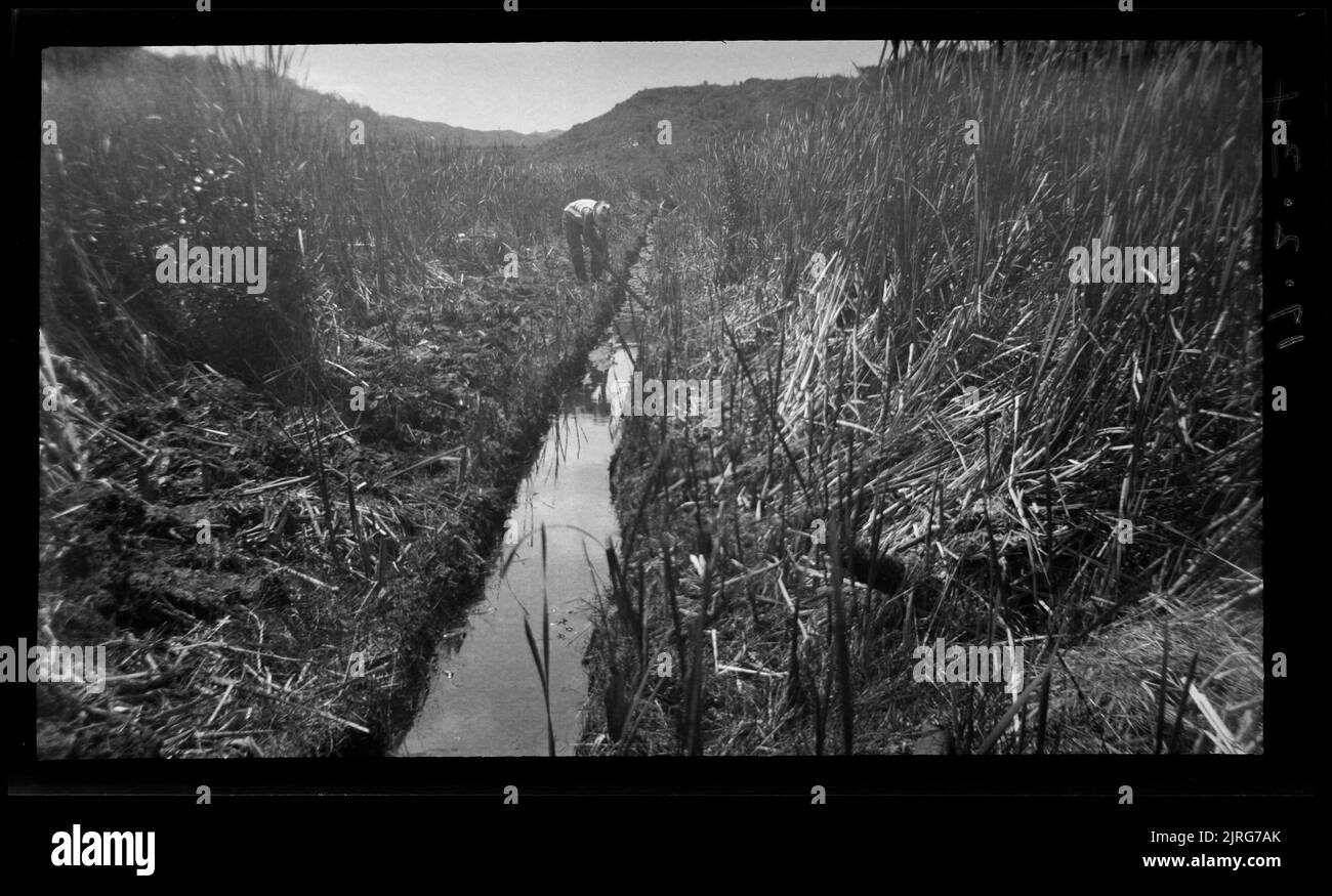 Mill swamp Black and White Stock Photos & Images - Alamy