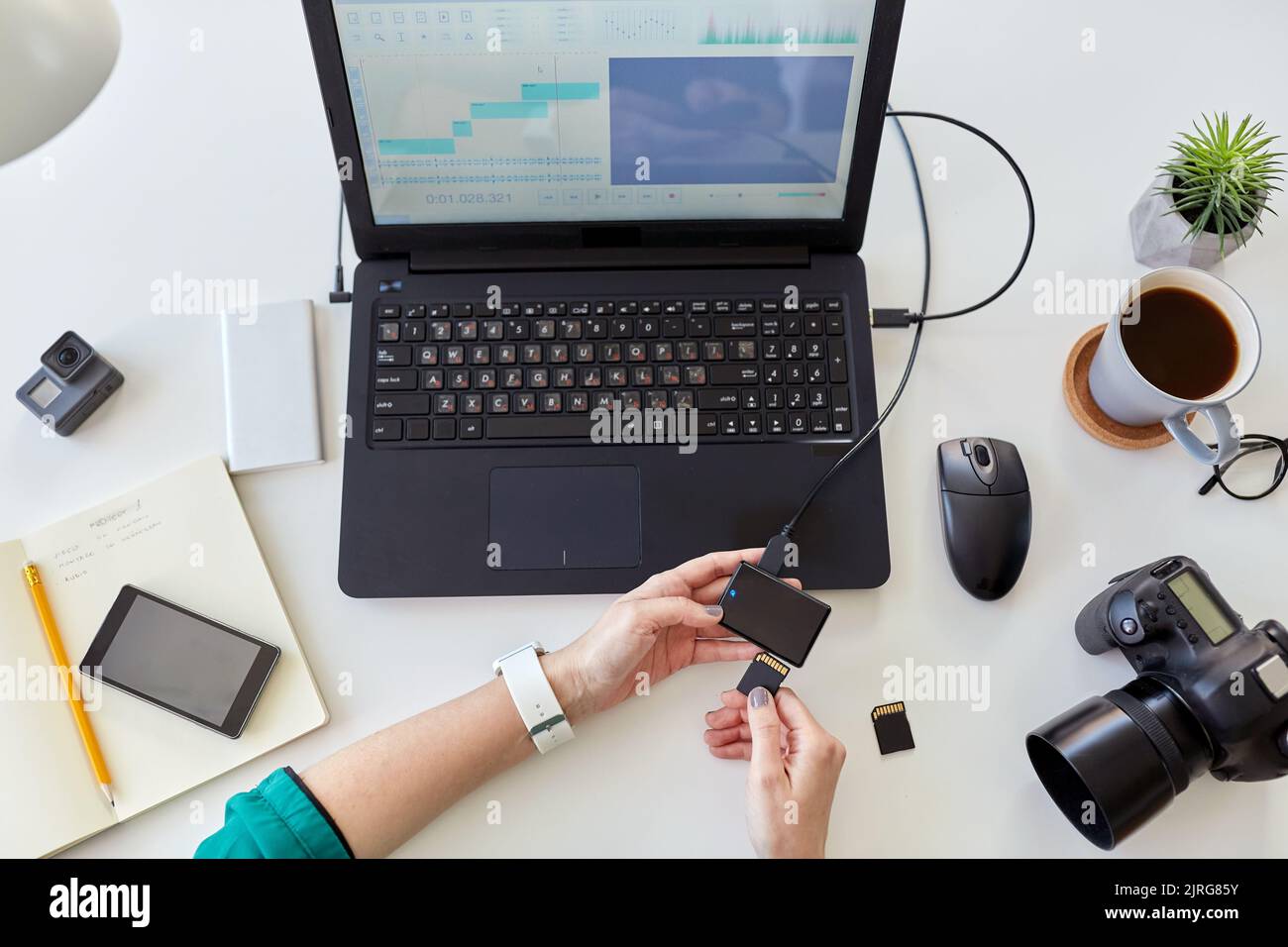 woman with sd card reader and laptop at office Stock Photo - Alamy