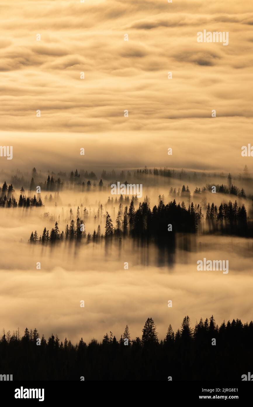 Autumn mountains covered with fog and clouds with trees peeking out and ...