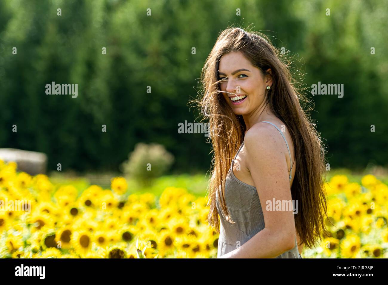 portrait of a beautiful brunette woman in a linen country style dress ...
