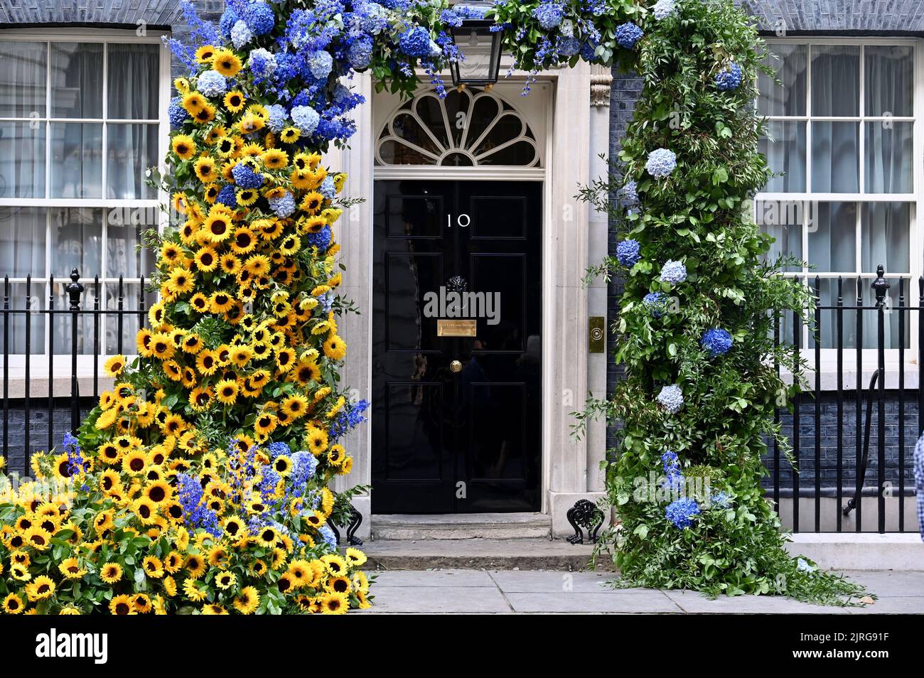 London, UK. Sunflowers for Solidarity. 10 Downing Street's entrance was ...