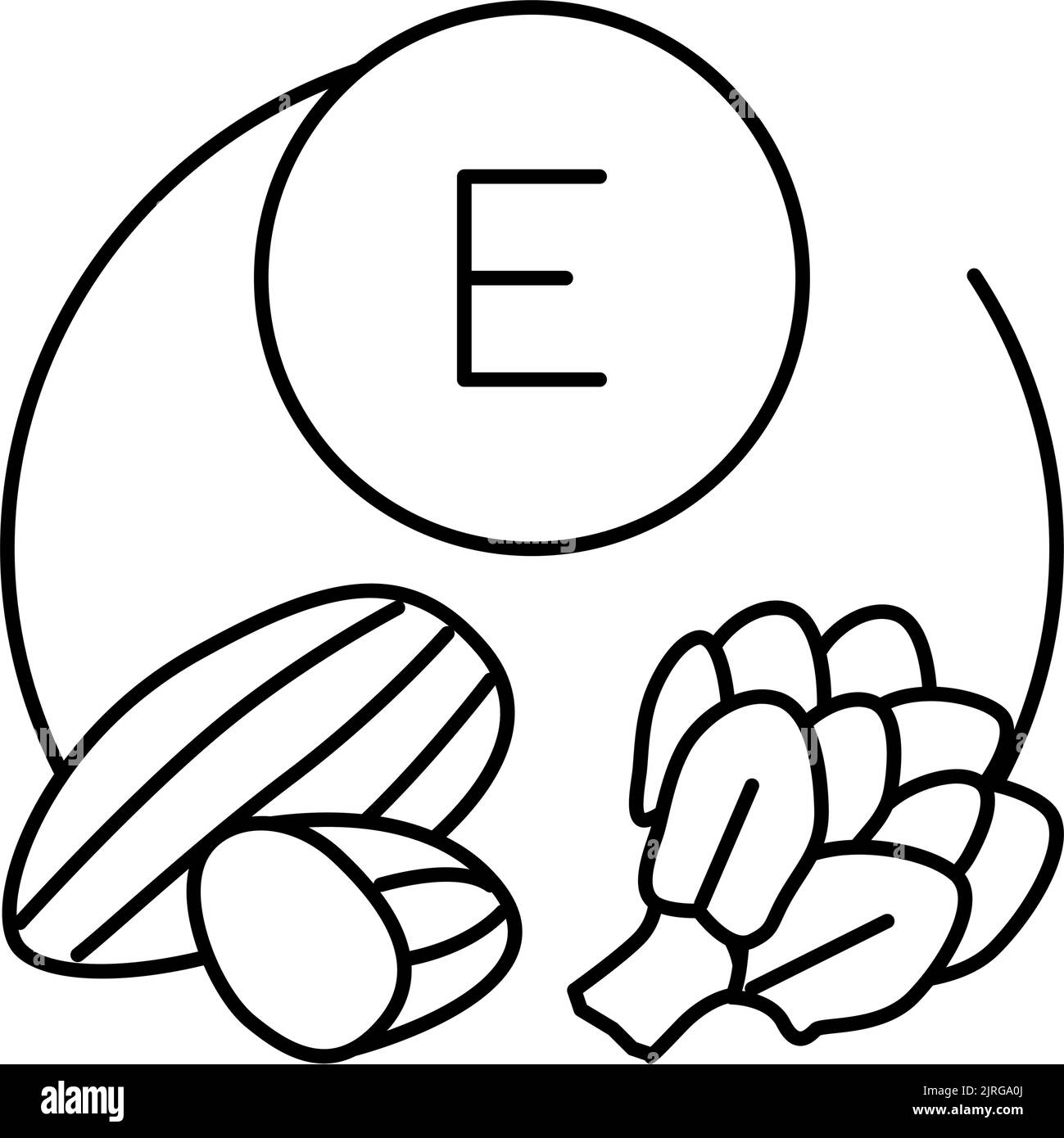 e vitamin line icon vector illustration Stock Vector Image & Art - Alamy