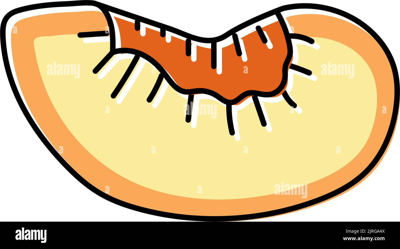 plum slice fruit color icon vector illustration Stock Vector Image ...