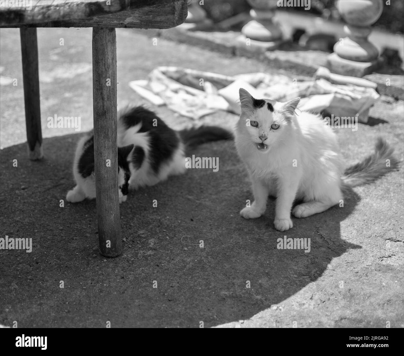 Look under table Black and White Stock Photos & Images - Alamy