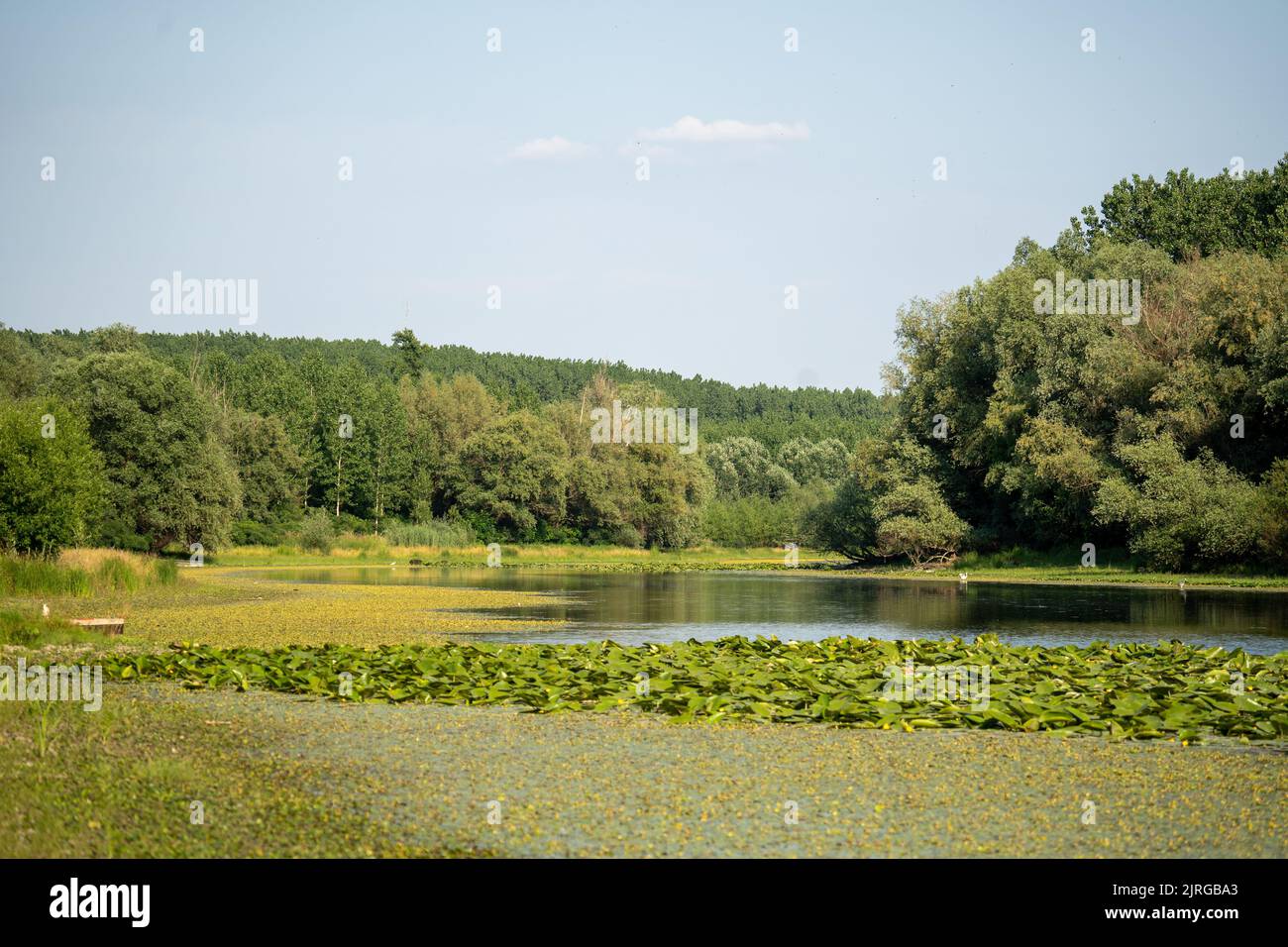 The special nature reserve in Kovilj, Serbia Stock Photo - Alamy