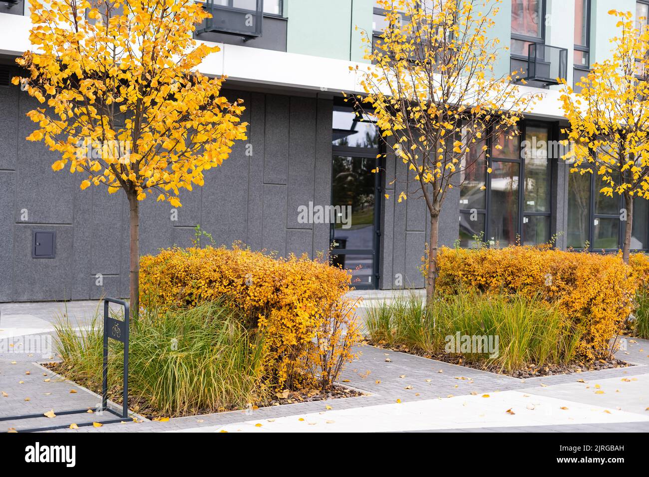 apartment building complex in fall season with colorful autumn leaves ...