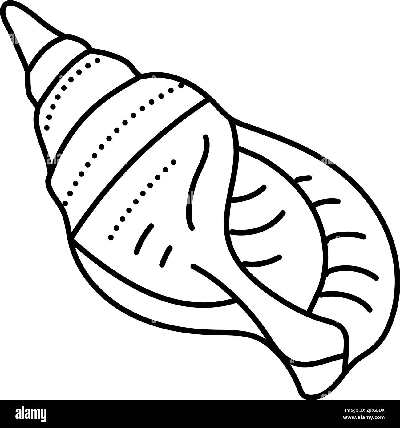 snail sea shell beach line icon vector illustration Stock Vector Image ...