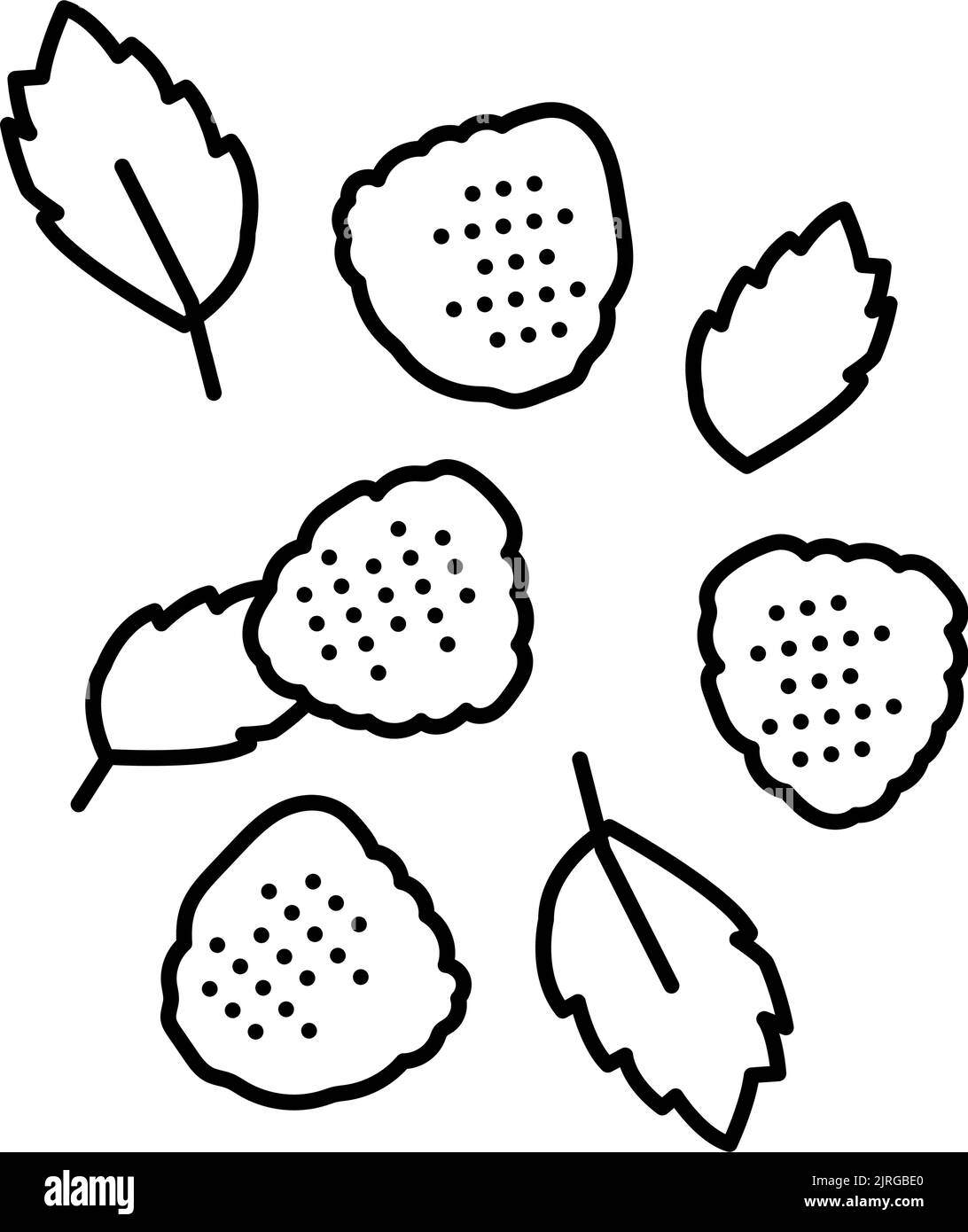 ripe raspberry berries line icon vector illustration Stock Vector Image ...