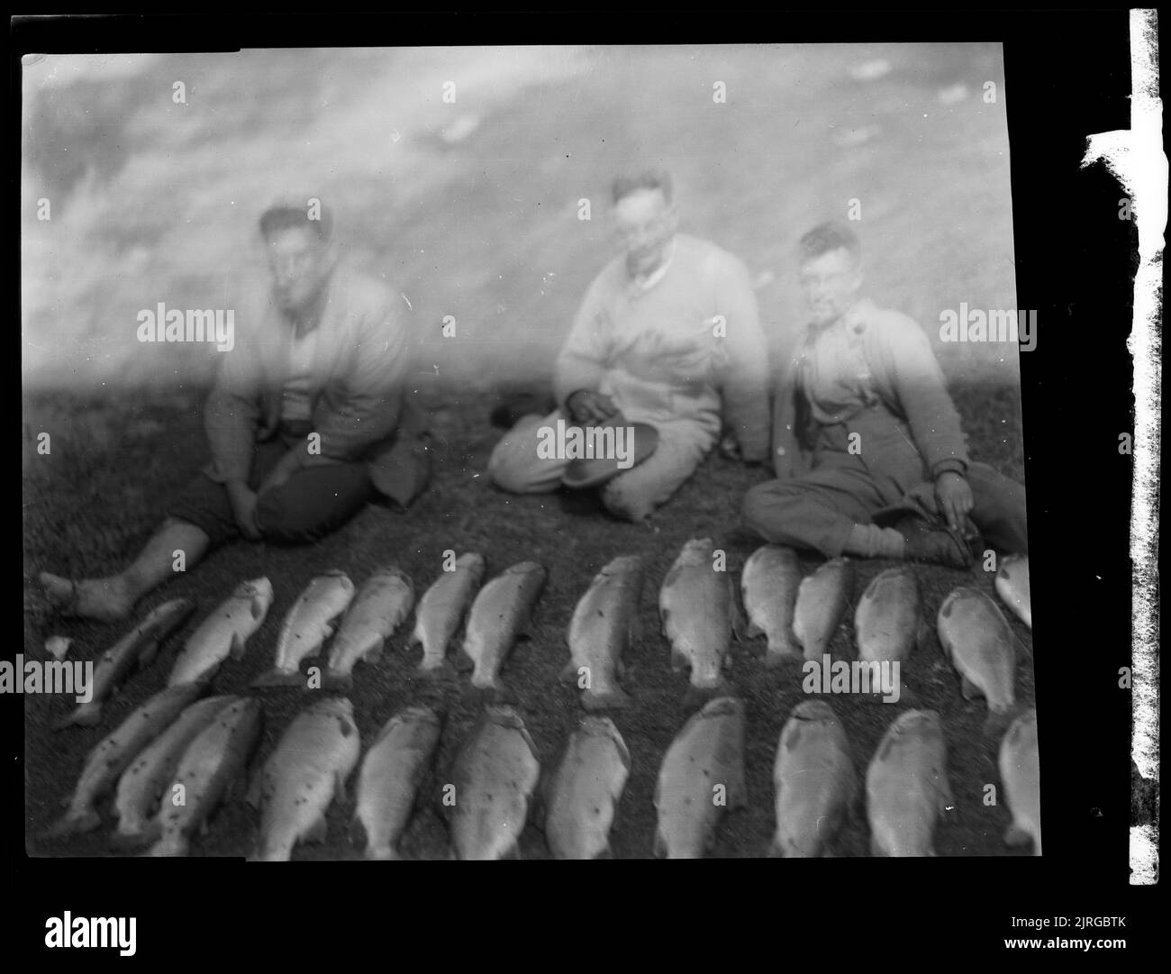 Waitahanui new zealand hi-res stock photography and images - Alamy