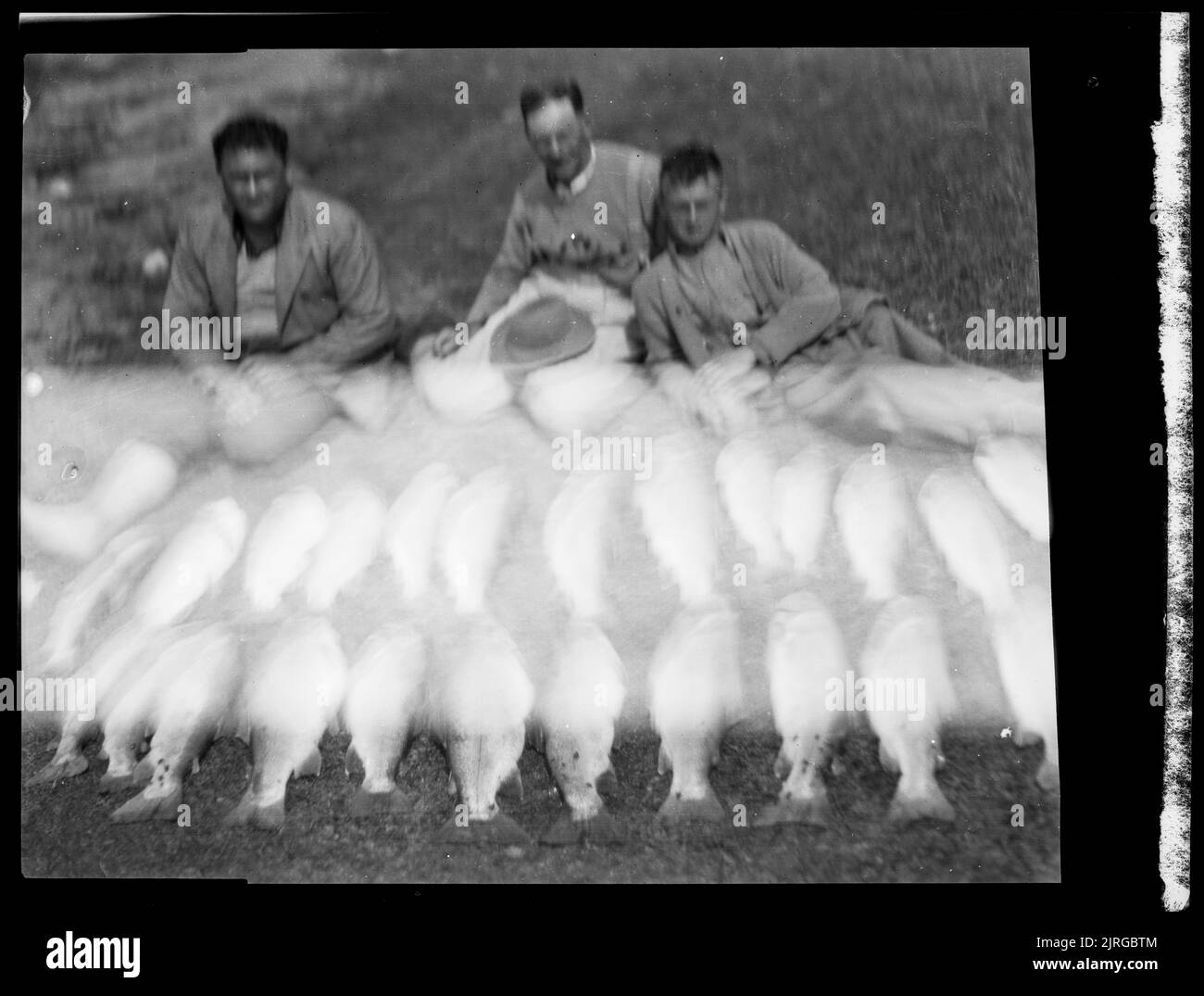 Waitahanui new zealand hi-res stock photography and images - Alamy