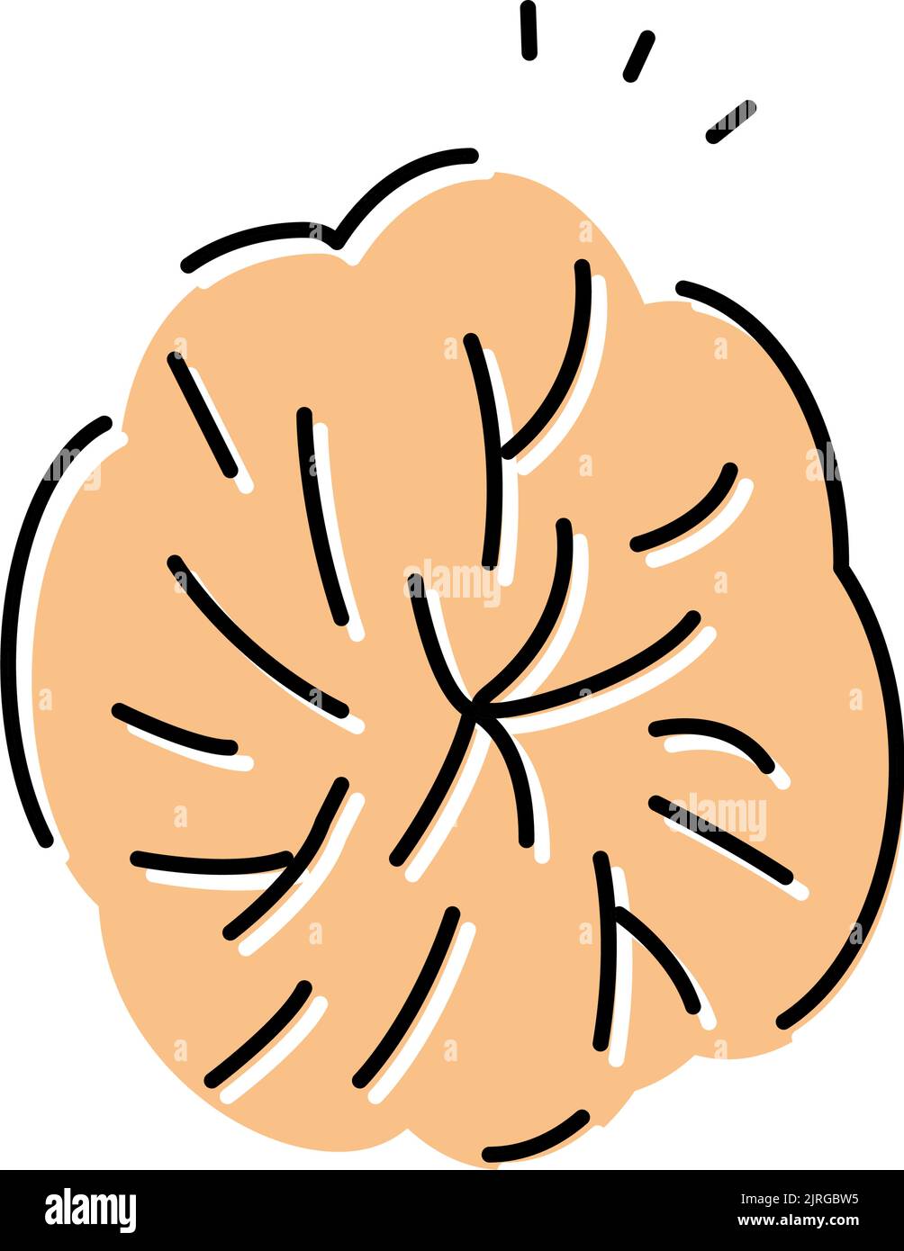 Anocutaneous hi-res stock photography and images - Alamy